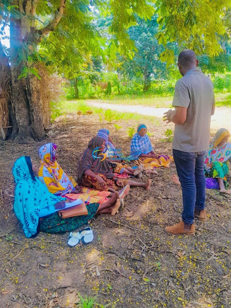 Global Impact Transformation